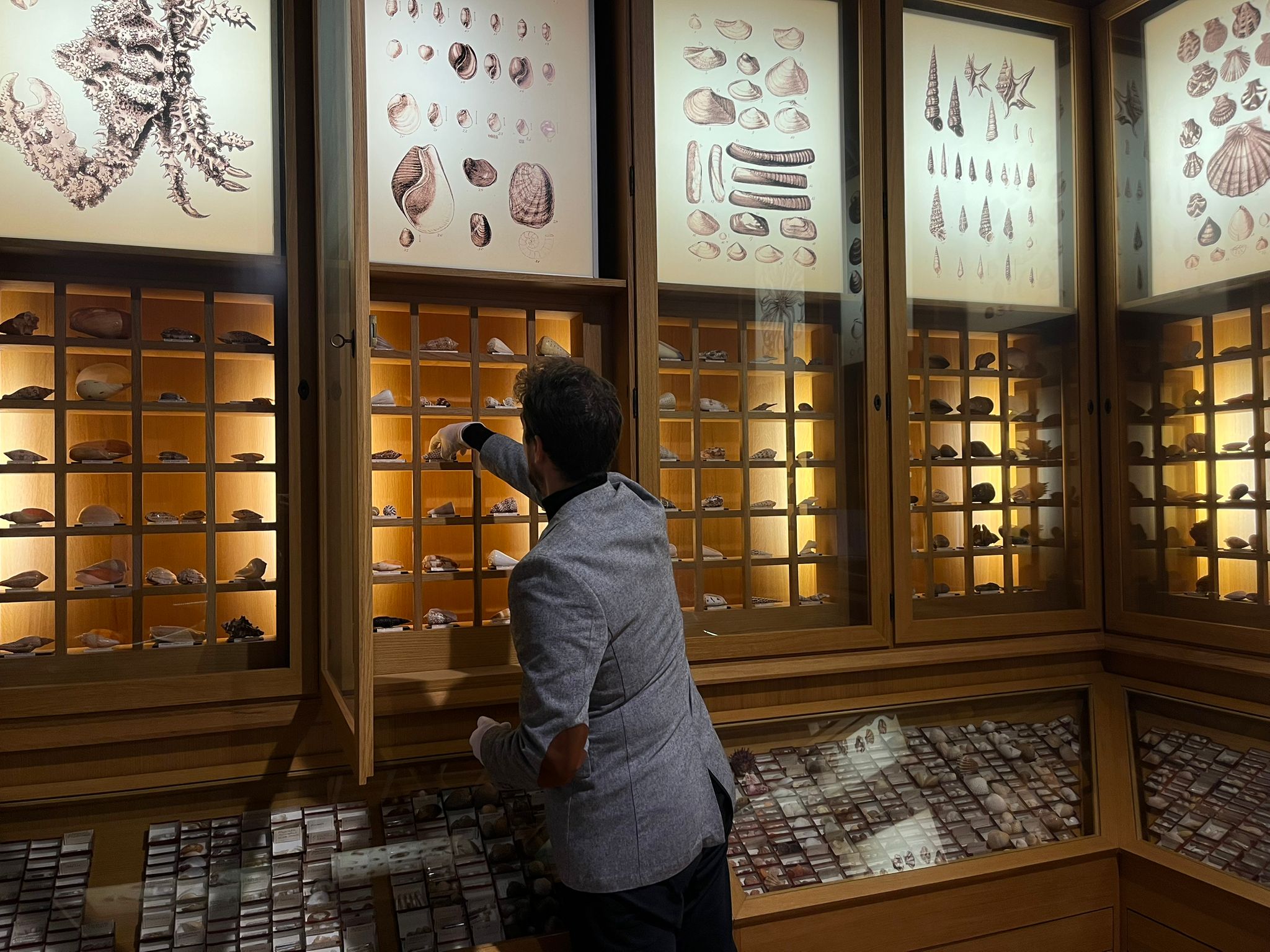 El Museu de la Mar de l’Ebre inicia una nova etapa per reforçar la ...